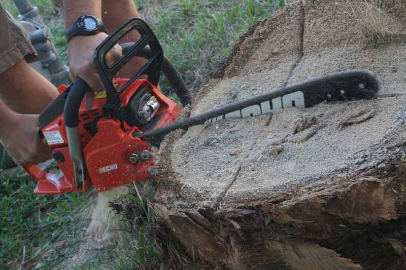 Echo CS-400 Chainsaw Review | Pro Tool Reviews