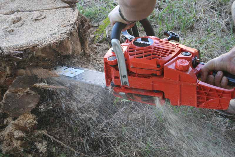 Echo CS-400 Chainsaw Review | Pro Tool Reviews