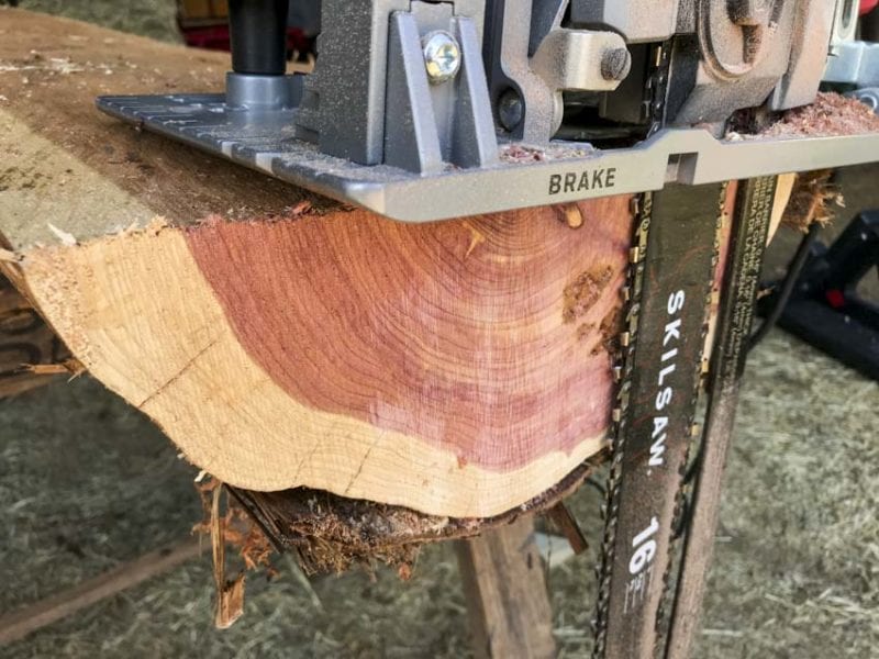 Skilsaw Carpentry Chainsaw Review: Sawsquatch Expands Its Reach