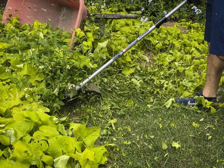 Toro Battery String Trimmer Review| 60V Brushless Electric - PTR