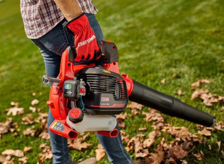 Best Gas Leaf Blower Reviews 2022 - Pro Tool Reviews