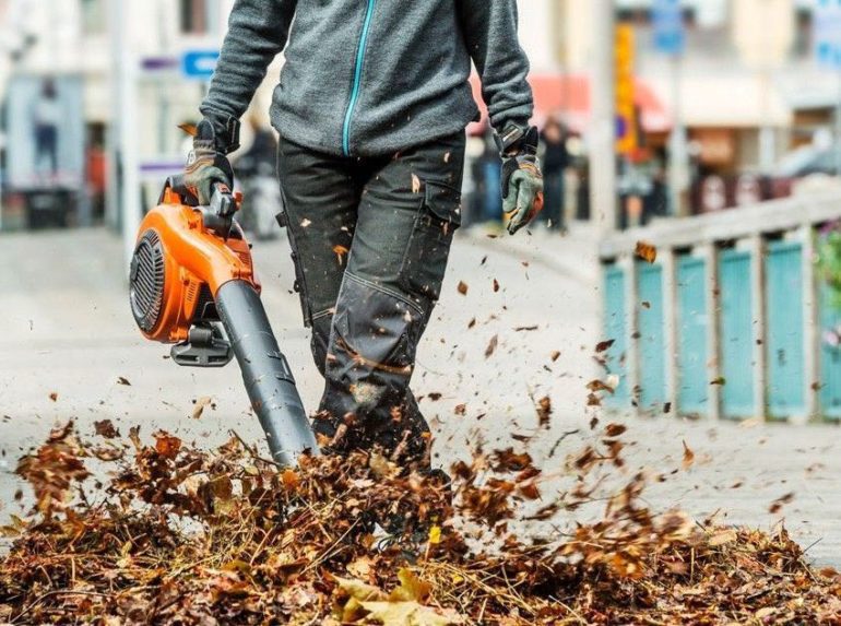 Best Gas Leaf Blower Reviews 2022 - Pro Tool Reviews