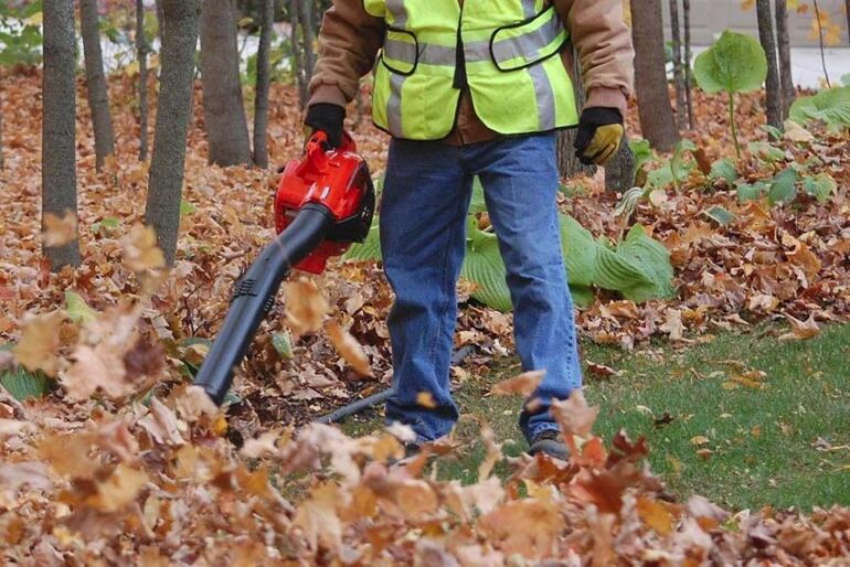 Best Leaf Blower Reviews - Pro Tool Reviews