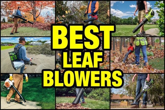 Best Leaf Blowers Reviewed and Tested - Pro Tool Reviews