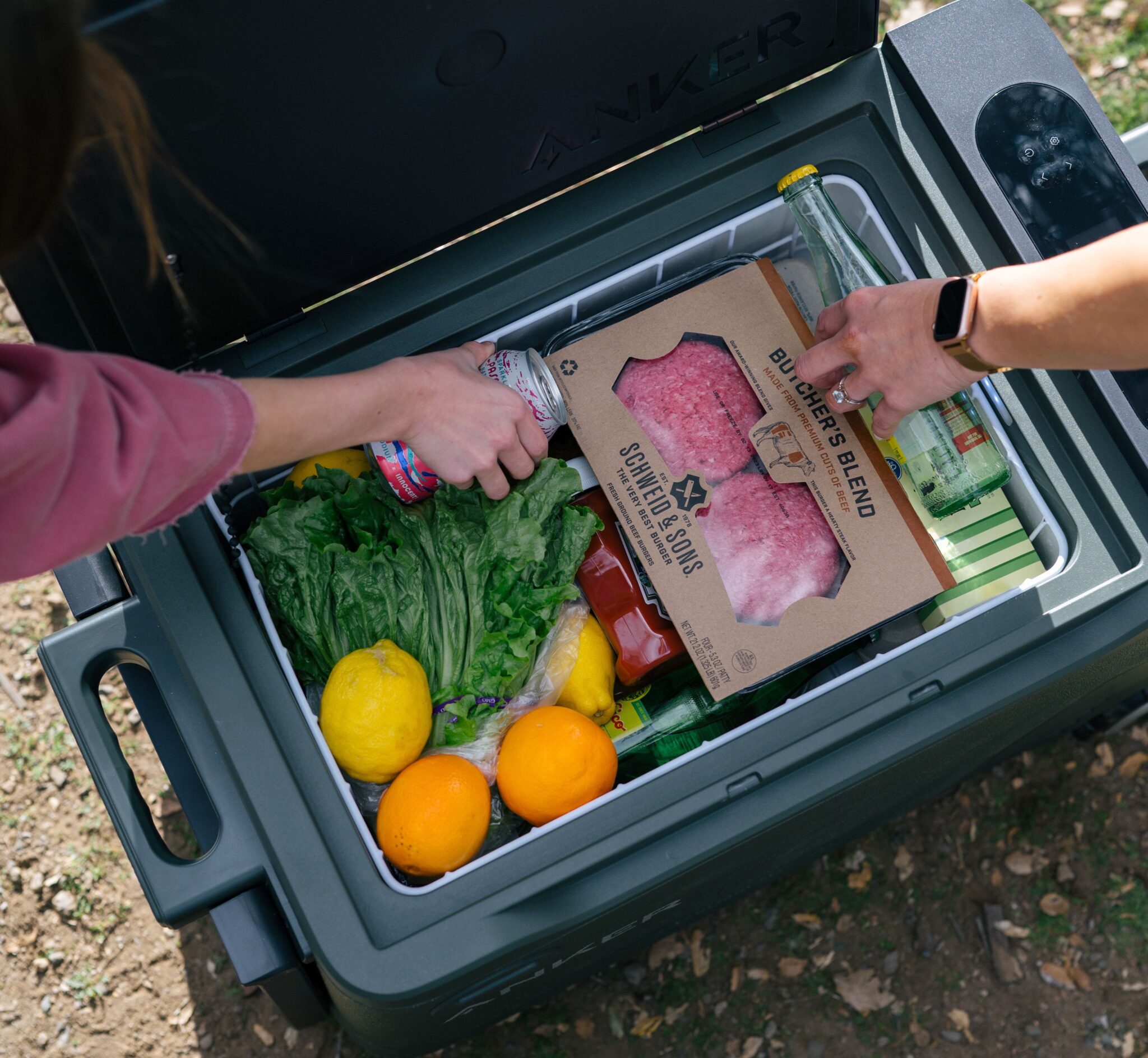 Anker EverFrost Powered Cooler - Pro Tool Reviews