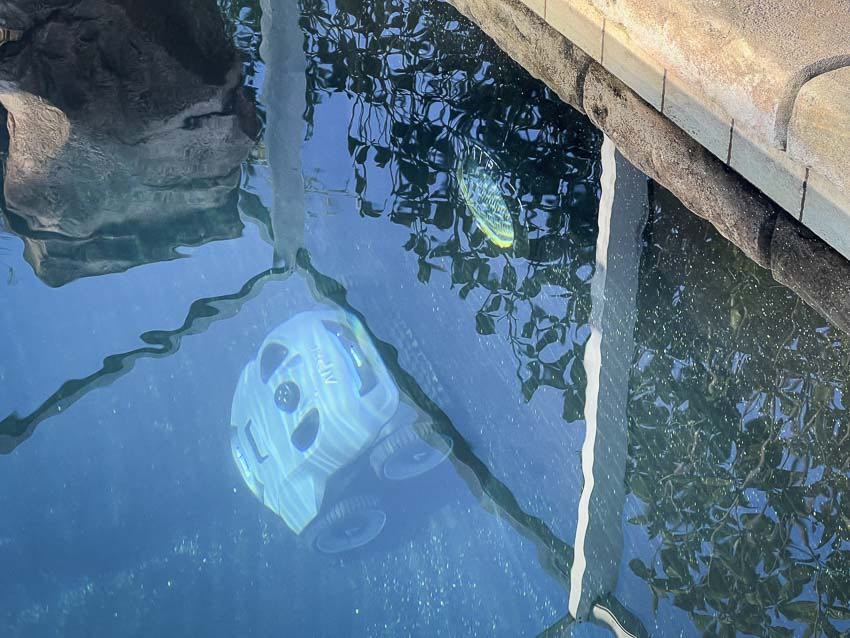 Aiper Seagull Pro Pool Vacuum Review - Pro Tool Reviews