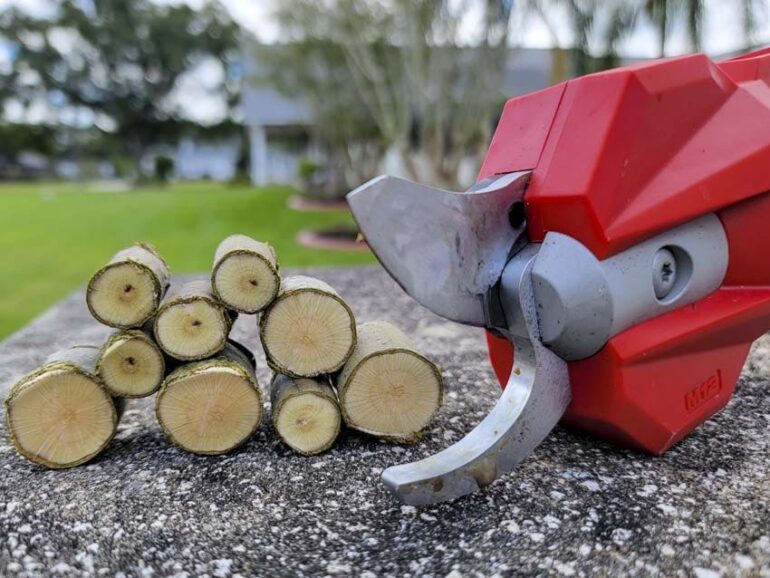 Milwaukee M12 Brushless Pruning Shears Review - Pro Tool Reviews