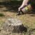 How to Kill Tree Stumps - Pro Tool Reviews