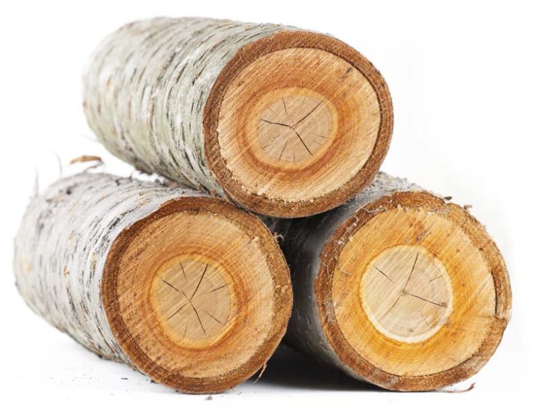 18 Types of Wood Homeowners Should Know About - Pro Tool Reviews