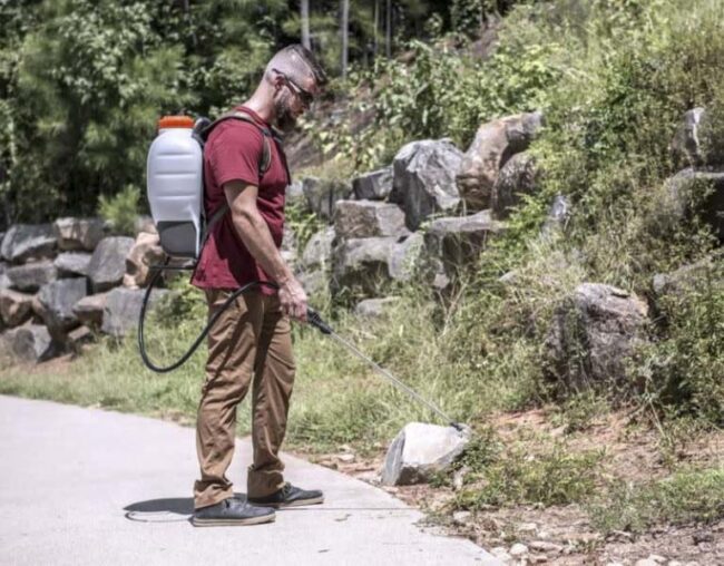 Best Backpack Sprayer Reviews - Pro Tool Reviews