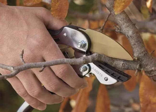 Best Pruning Shears - Pro Tool Reviews