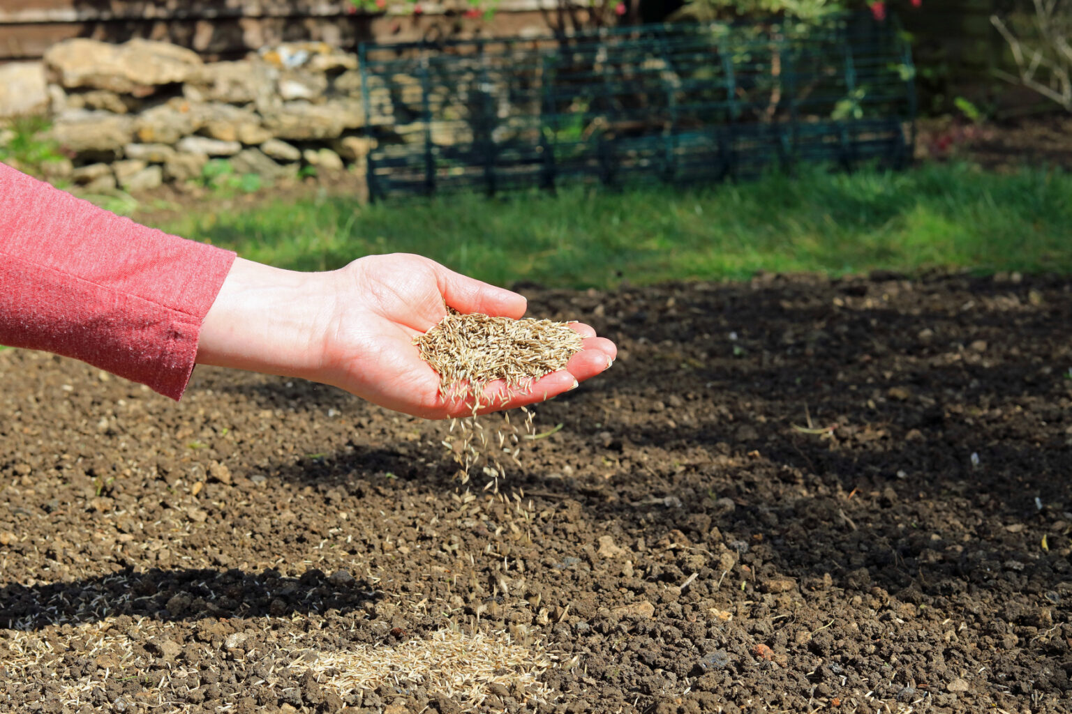 How to Plant Grass Seed - Pro Tool Reviews