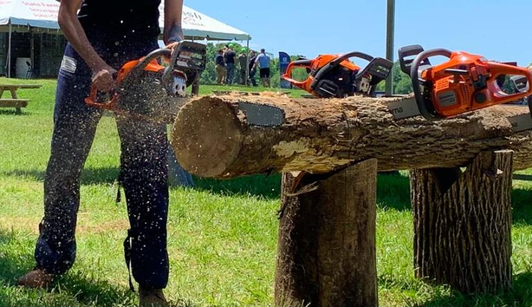 Chainsaw Safety Rules for Beginners and Pros - Pro Tool Reviews