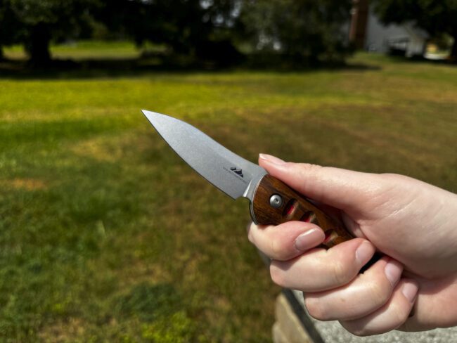 New West Knifeworks Saddleback Glory Folding Knife Review - Pro Tool ...