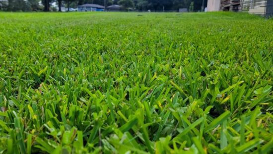 Best Riding Lawn Mower Reviews 2025 - Pro Tool Reviews