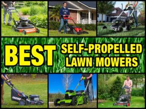 Best Self-Propelled Lawn Mowers: Expert Picks