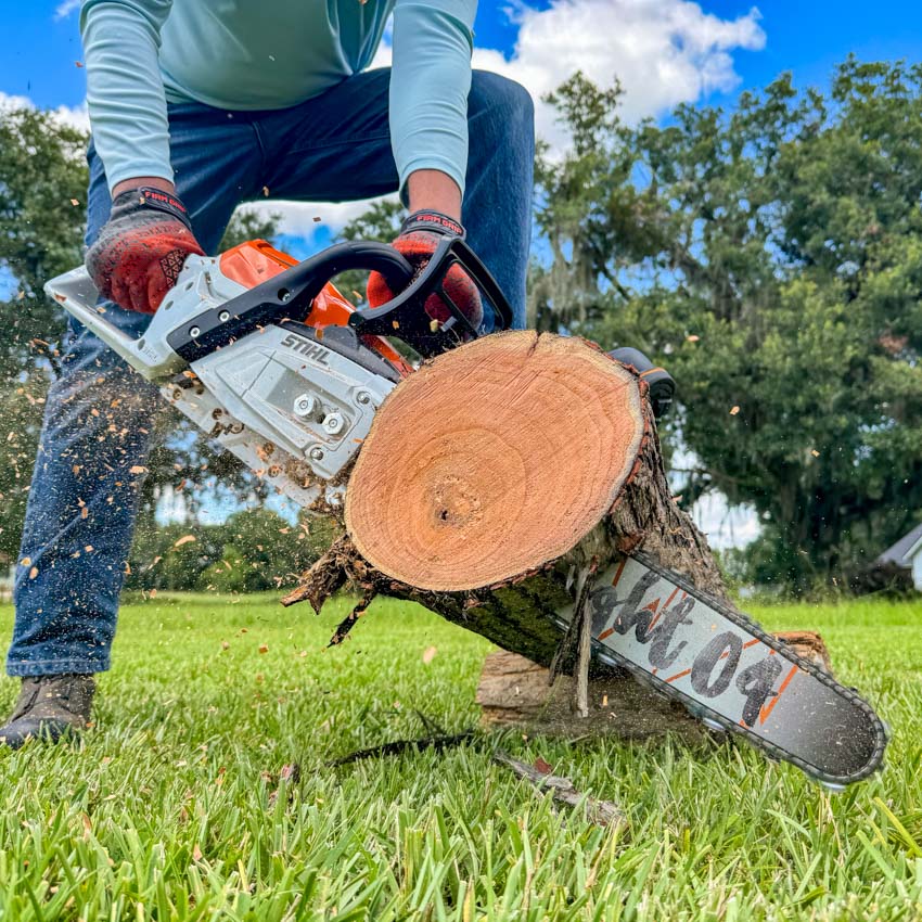 Best Battery-Powered Chainsaws for Pros and Homeowners