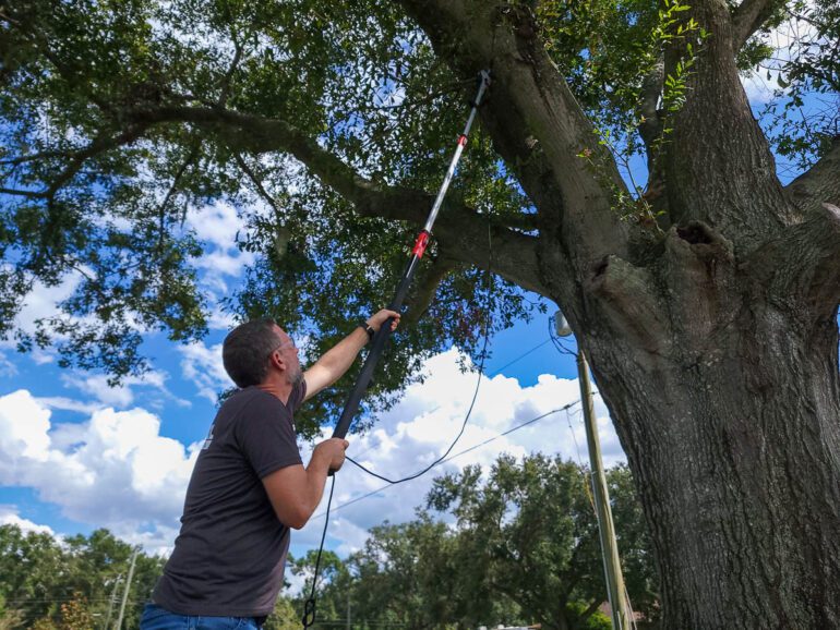 Pushing The Limbits: Milwaukee 16-Foot Pole Saw and Pruner - Pro Tool ...
