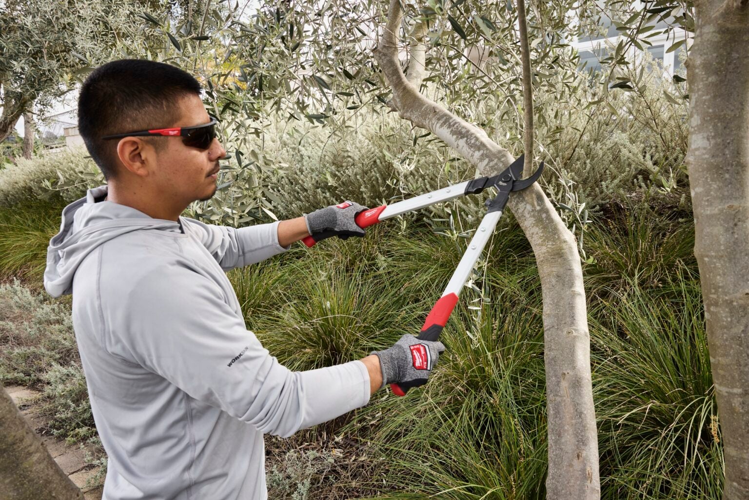 Milwaukee Unleashes 5 New Outdoor Hand Tools for Landscapers - Pro Tool ...