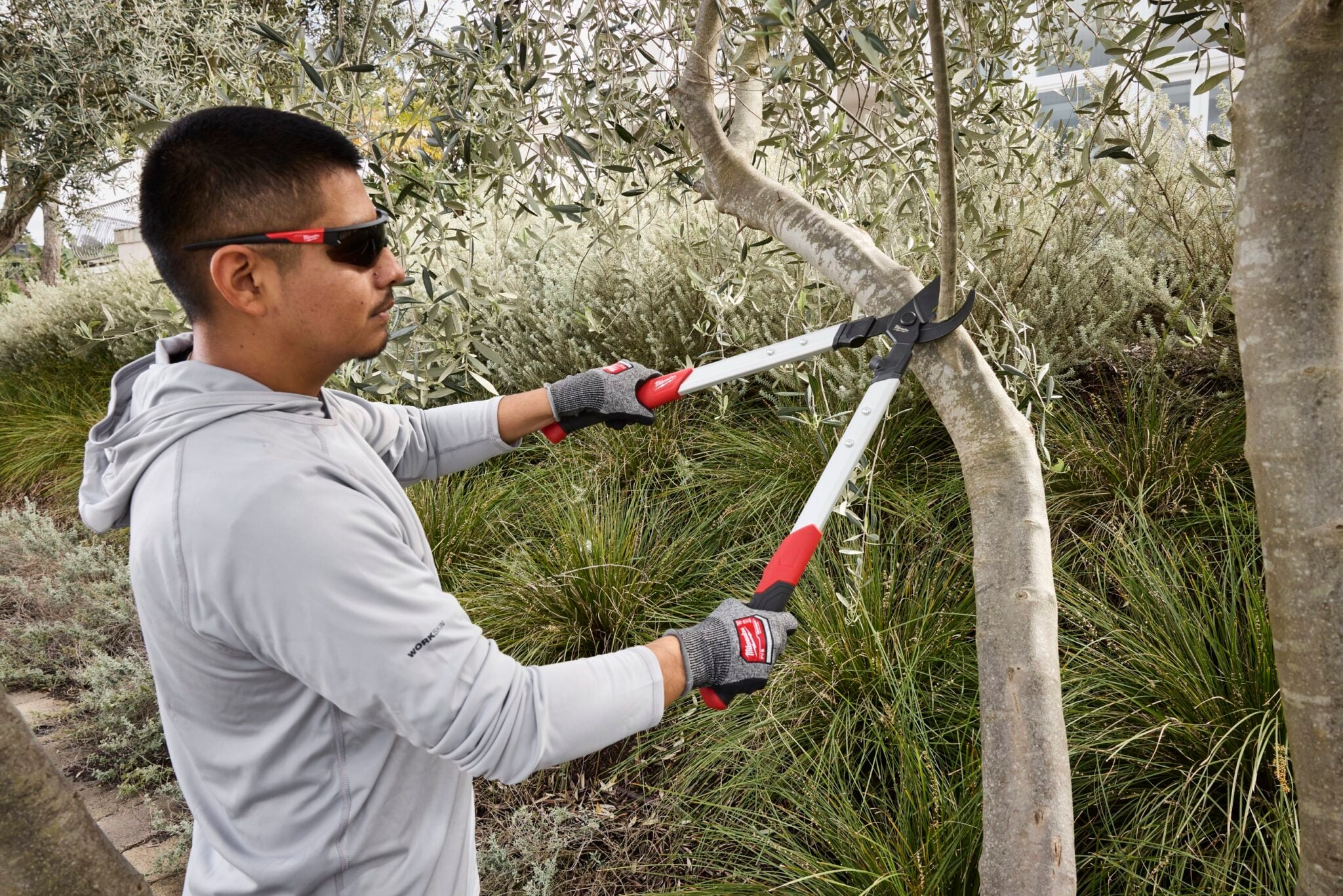 Milwaukee Unleashes 5 New Outdoor Hand Tools for Landscapers - Pro Tool ...